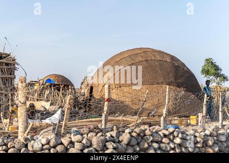 Desert camp of Afar nomads Djibouti, Africa Stock Photo - Alamy