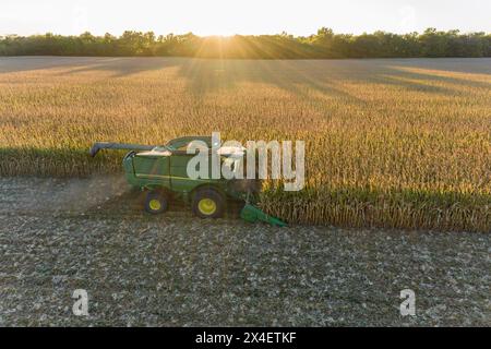Combine harvesting corn at sunset, Marion County, Illinois. (Editorial ...