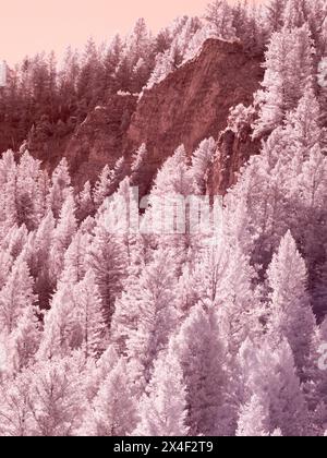 USA, Utah, Logan Pass. Autumn colors in Logan Pass Utah Stock Photo - Alamy
