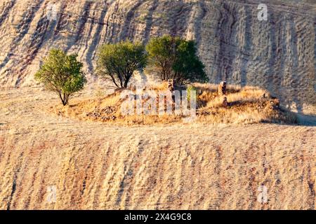 Waterwheel in stubble fields in Alhambra Stock Photo - Alamy
