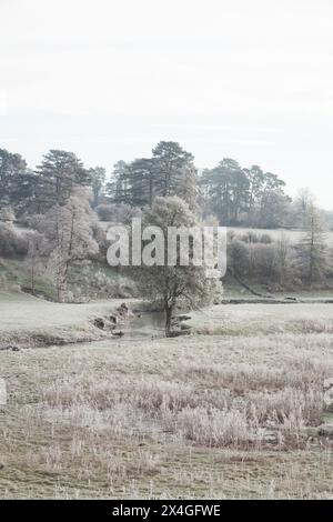 The River Evenlode on a cold frosty morning at Cornbury Park in ...