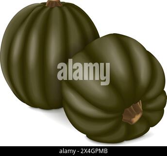 Group of Zapallo Macre Squash. Winter squash. Cucurbita maxima. Fruits ...