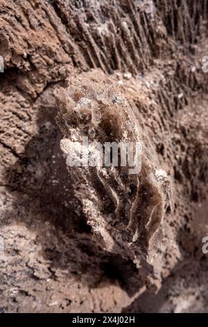 Salt structures, Valle de la Luna, San Pedro de Atacama, Antofagasta ...