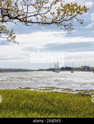 River Beaulieu Estuary Hampshire UK Stock Photo - Alamy
