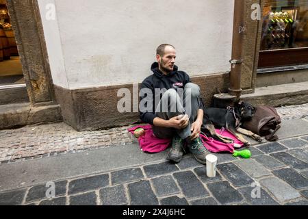 Homeless Man with Dog Panhandler Beggar Street Begging Stock Photo - Alamy
