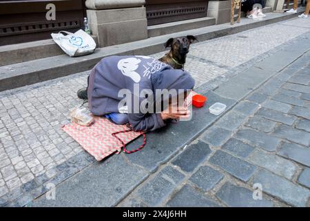 Homeless Man with Dog Panhandler Beggar Street Begging Stock Photo - Alamy