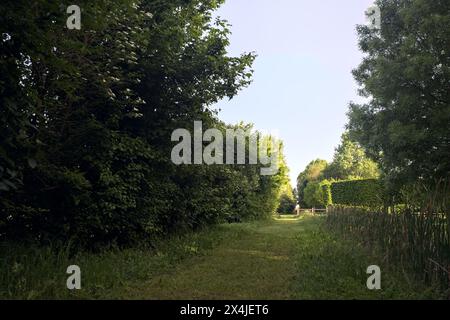 Grass path between trees with a trench in a park at sunset Stock Photo ...