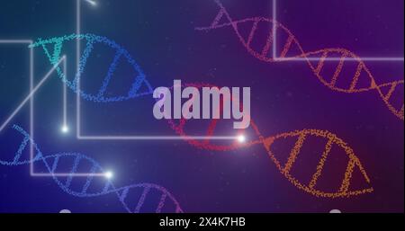 Image of dna strands spinning and white lines over black background ...
