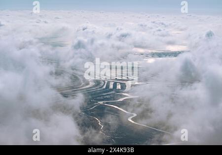 Aerial photo shows the tidal-flat presenting a landscape of a tree in ...