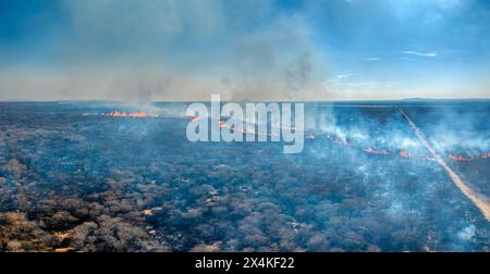 aerial bush fire africa, natural disaster, deforestation to plant crops ...