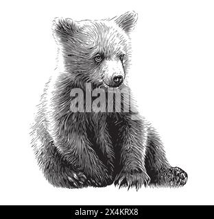 Bear cub face sketch hand drawn cartoon style illustration Stock Vector ...