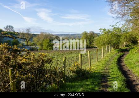 View down Witton Valley in spring Stock Photo - Alamy