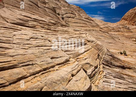 Sandstone bedding at Whiterocks Amphitheater, Snow Canyon State Park ...