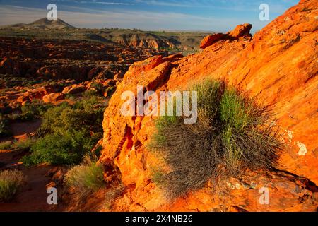 Red rocks view from Babylon Arch Trail, Red Cliffs National ...