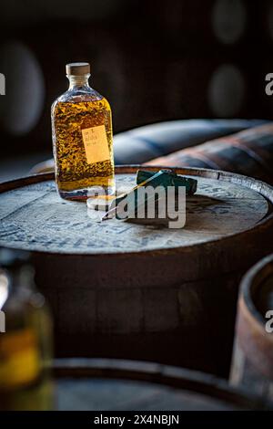 Whisky bottle with bung puller and barrel at Raasay distillery on the ...