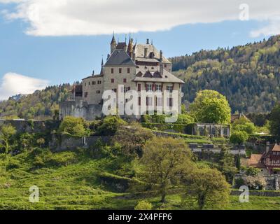 Aerial view of the Chateau de Menthon is a medieval castle located in ...