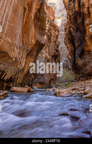 slot canyon in The Narrows, Zion National Park, Utah Stock Photo - Alamy