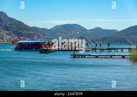 Tourist boats arriving at Iztuzu Beach, Turtle Beach, at the popular ...