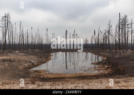 Pond surrounded by trees burned by wildfire, Northwest Territories ...