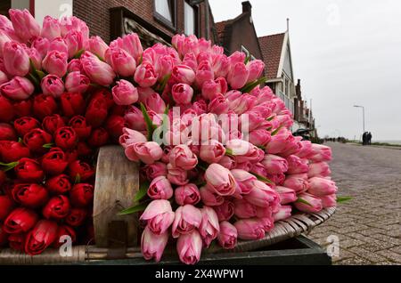 Holland, Volendam village (Amsterdam), fake tulips for sale Stock Photo ...
