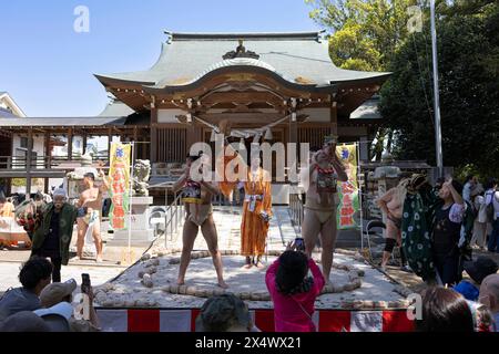 Crying babies are being lifted in the air by sumo wrestlers during ...