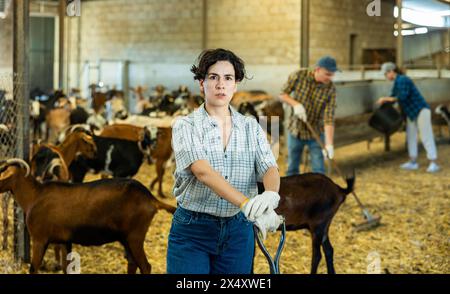 Successful Hispanic woman breeder posing in barn with goats Stock Photo ...