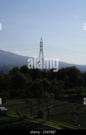 Signal booster tower in the middle of the trees with a mountain behind ...