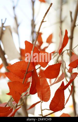 Jagged red leaves with a blurred background Stock Photo - Alamy