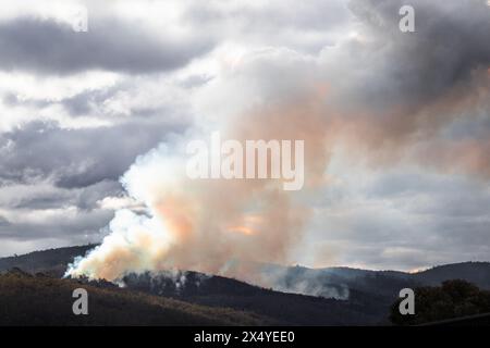 controlled burns creating thick smoke over the bush in Australia, made ...