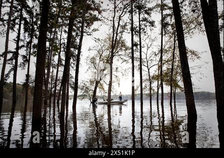 Bass fishing from a boat in pine trees Stock Photo - Alamy