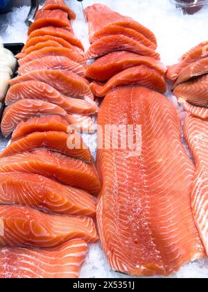 Display of fish caught Pacific salmon (Oncorhynchus) in the form of ...