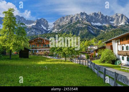 Wilder Kaiser with farmhouse, trees, Going am Wilden Kaiser, Tyrol ...