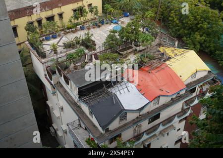 Rooftop garden. Mymensingh Road, Dhaka, Bangladesh Stock Photo - Alamy