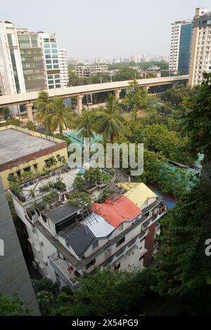 Rooftop garden. Mymensingh Road, Dhaka, Bangladesh Stock Photo - Alamy