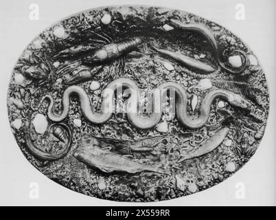 Bernard Palissy was a renowned French Renaissance potter known for his ...