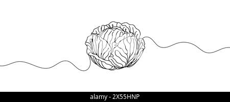 Head lettuce in continuous line art drawing style. Iceberg or crisphead ...