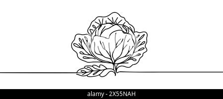 Head lettuce in continuous line art drawing style. Iceberg or crisphead ...