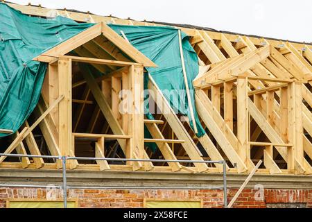 Reconstruction of the roof structures of a historical building using ...