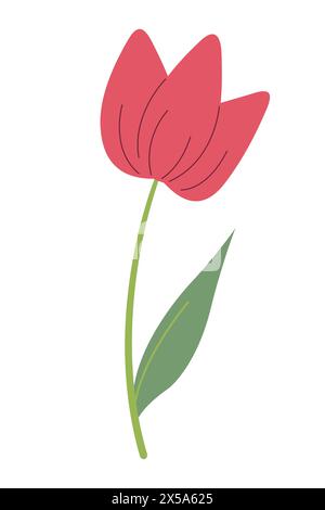 realistic cartoon tulips vector illustration isolated on white ...