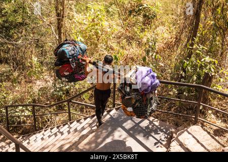 Porter carrying a heavy load, Phu Kradueng National Park, Loei ...