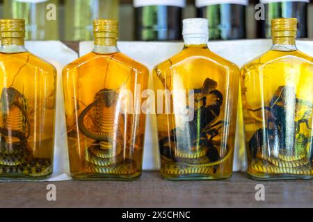 Choum, rice liquor, rice wine with pickled scorpions and Snakes for ...