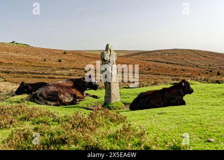 Bennetts Cross mediaeval Christian upland route and boundary marker on ...