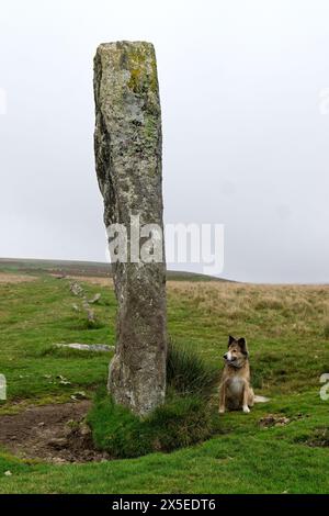 Tall terminal standing stone at the south end of a prehistoric stone ...