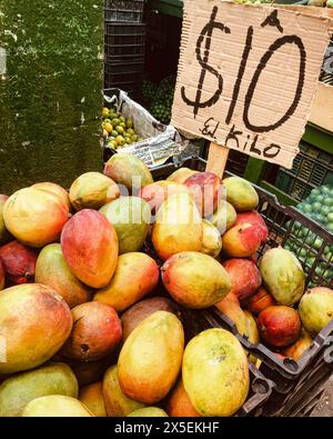 Bunch of mangoes at a fruit stand. Guadalajara, Mexico Stock Photo - Alamy