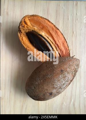 Large mamey sapote. Guadaljara, Mexico Stock Photo - Alamy