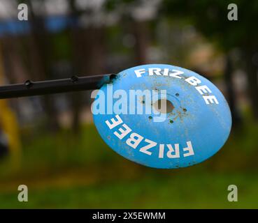 Tossing the frizbee in the Ridgeland Wildflower Field Stock Photo - Alamy