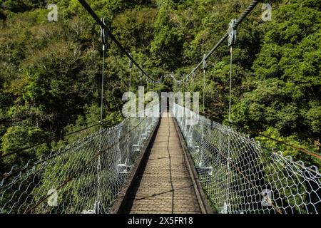 Suspension bridge on the Lushui Wenshan Trail, Taroko National Park ...