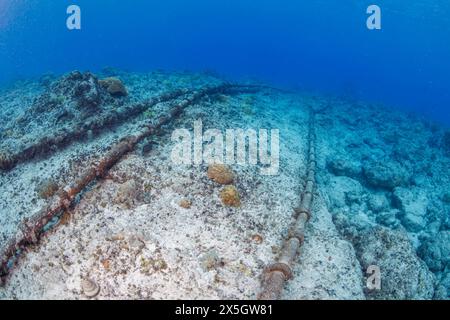 TransPacific undersea communication cables on the ocean floor off the ...