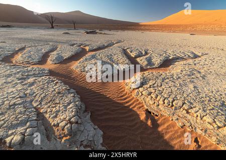Dry mud on the sand dunes, Namib Desert Stock Photo - Alamy