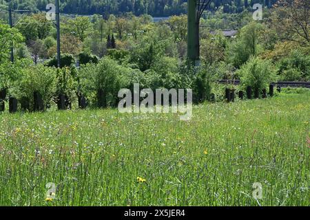 Metal rails in a row used as military fortified protection and anti ...